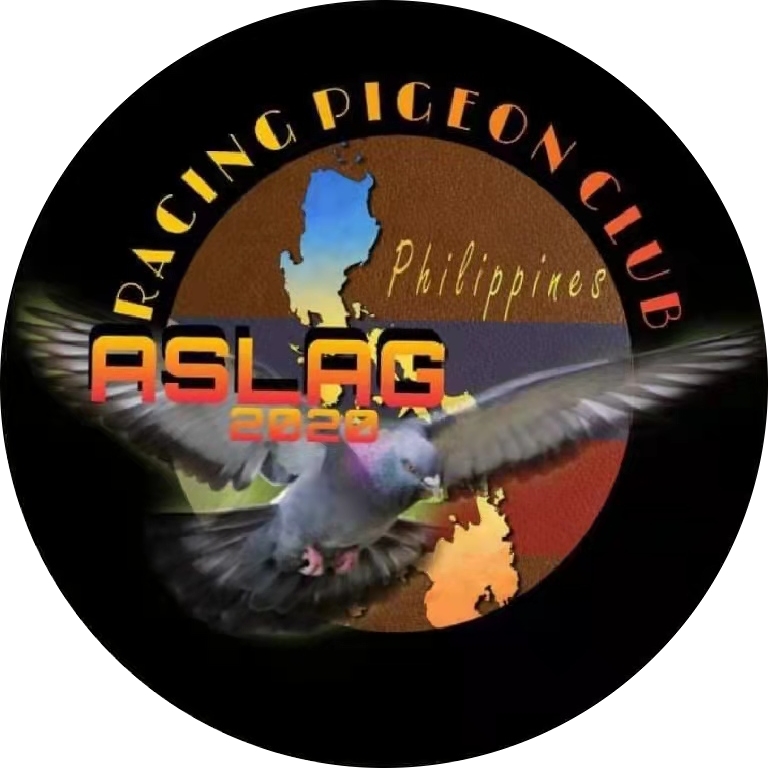 TOPIGEON - Philippines - Clubs
